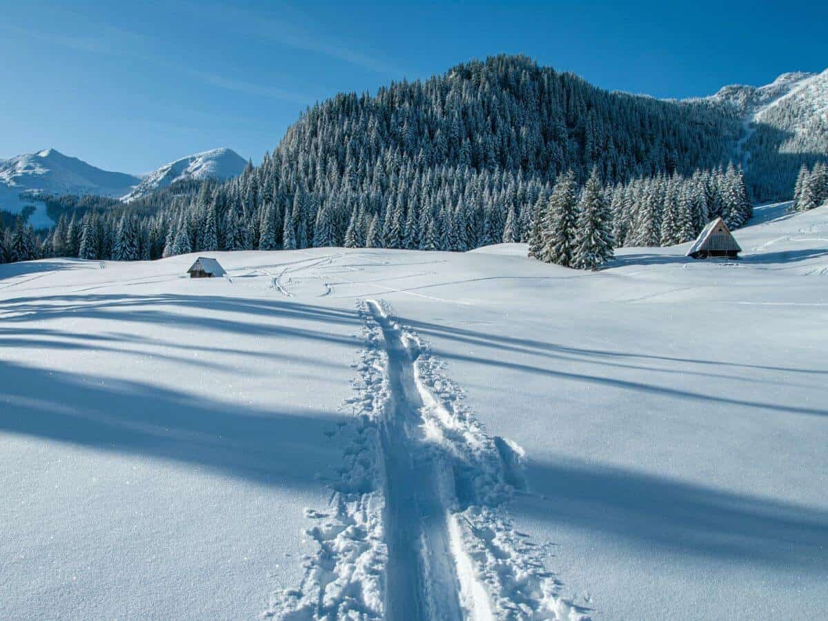 Off-Piste Skiing | The Ultimate Guide - An Aimless Walk