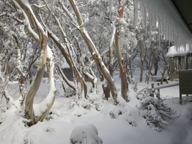 Does It Snow In Australia? Everything You Need To Know - An Aimless Walk