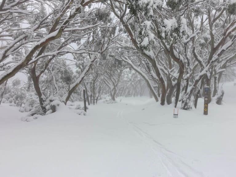 Does It Snow In Australia? Everything You Need To Know - An Aimless Walk