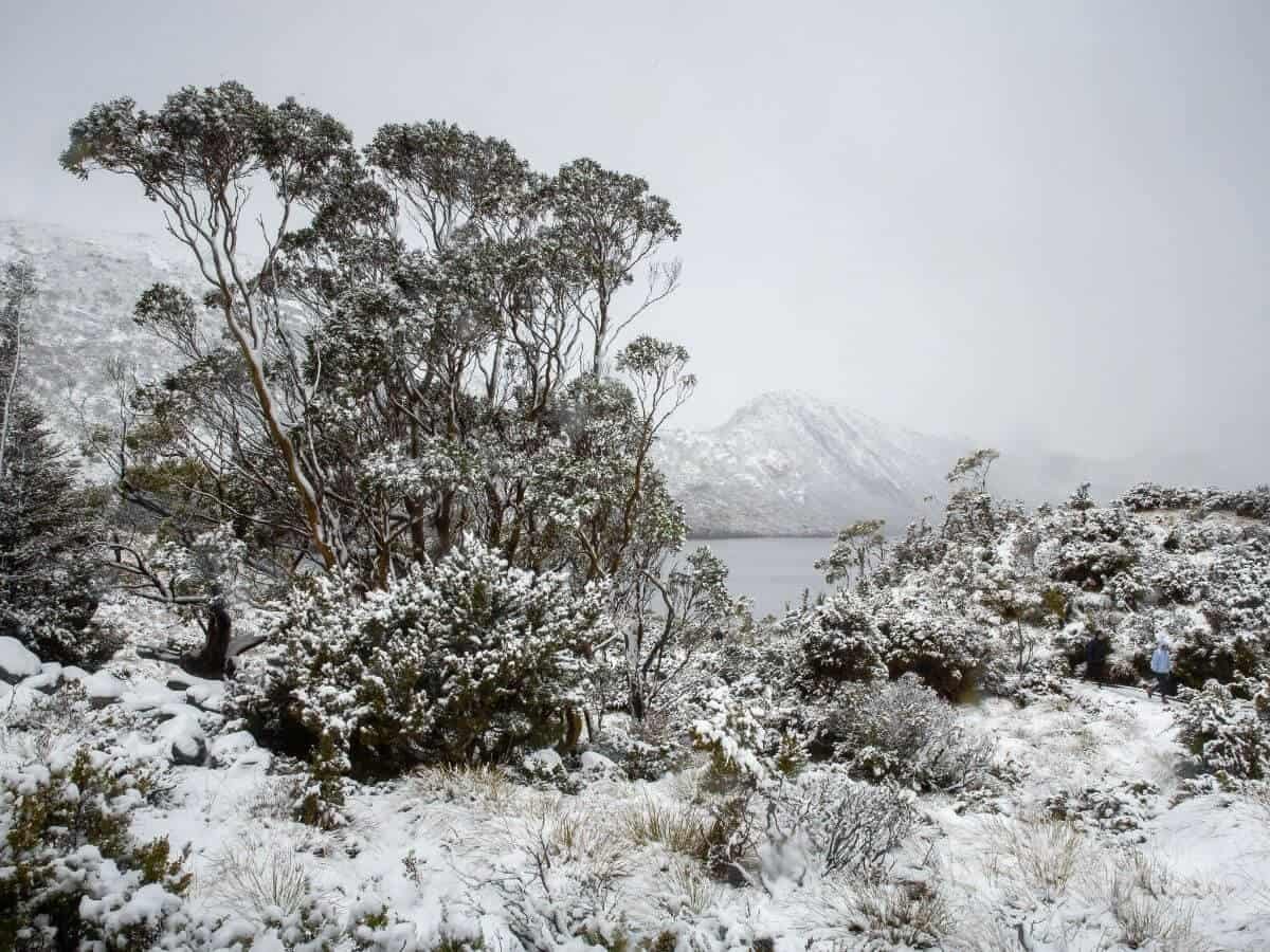 Does It Snow In Australia? Everything You Need To Know - An Aimless Walk